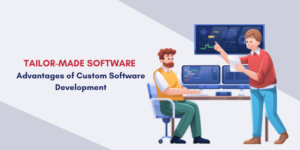 Tailor Made Software – Advantages Of Custom Software Development ...